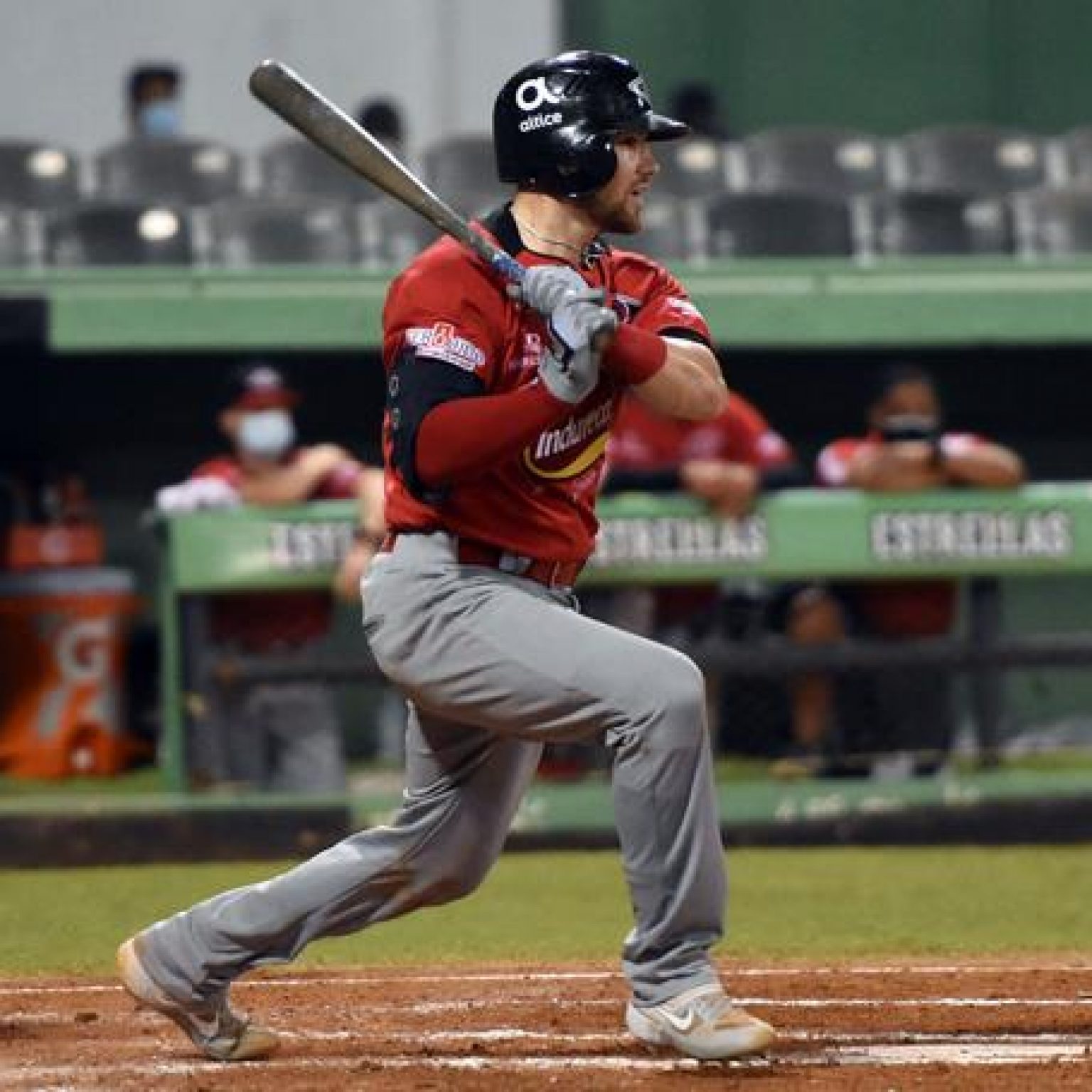 Brett Sullivan repetirá con el Escogido - CDN Deportes