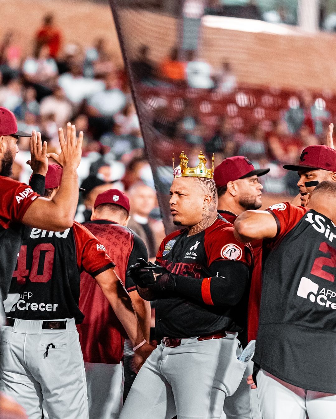 Resultados LIDOM Hoy en la pelota invernal: 18 de noviembre