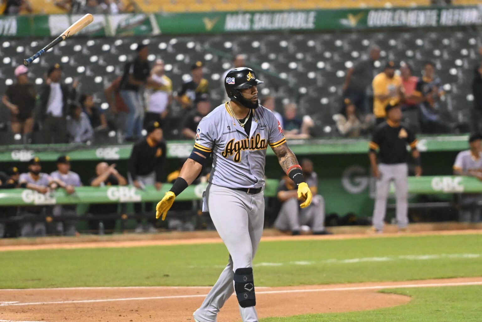 Resultados LIDOM Hoy en la pelota invernal: 16 de diciembre 2024